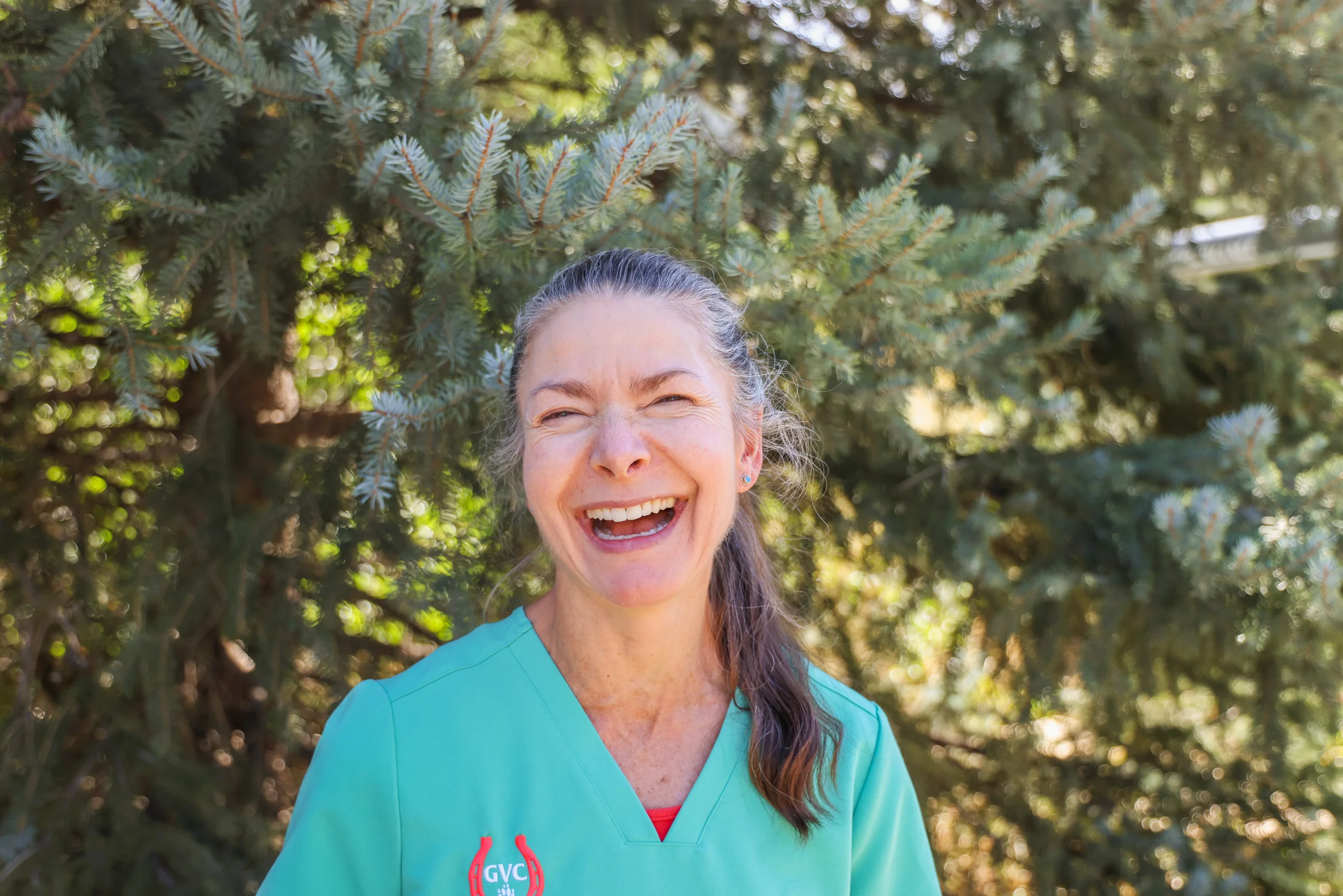 Meet the Team - Glenwood Veterinary Clinic